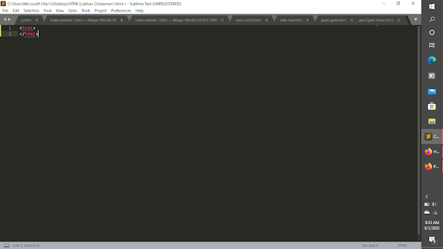 Cara Download Sublime Text 3 dan Pengenalanya