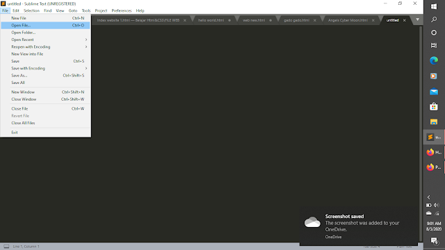 Cara Download Sublime Text 3 dan Pengenalanya